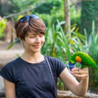 Do Crows Attack Eagles? (The Surprising Truth)