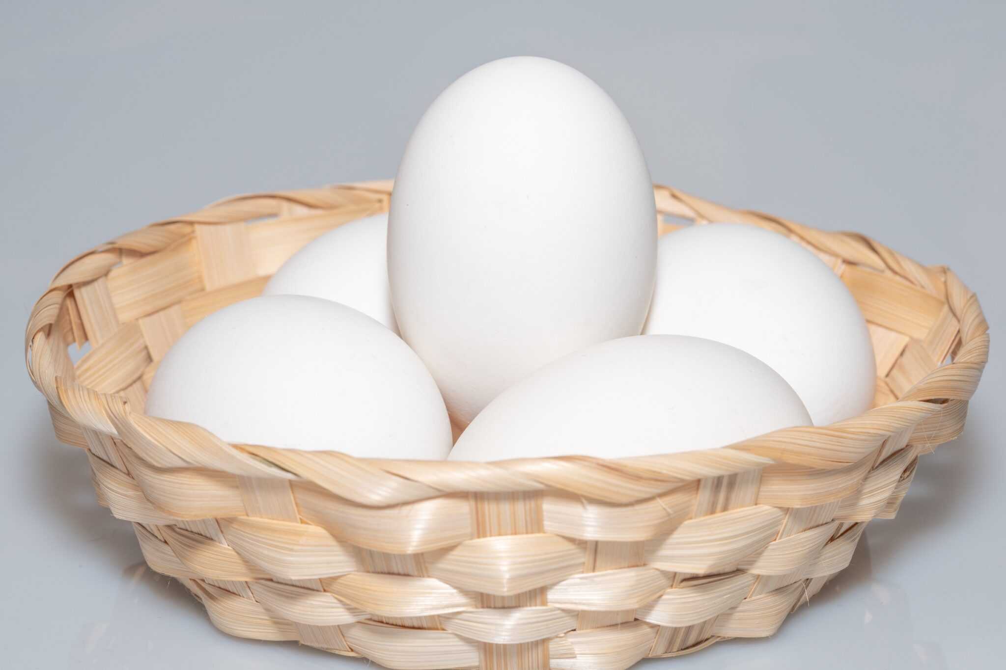 Goose Eggs: Everything You Need to Know! - Bird Helpful