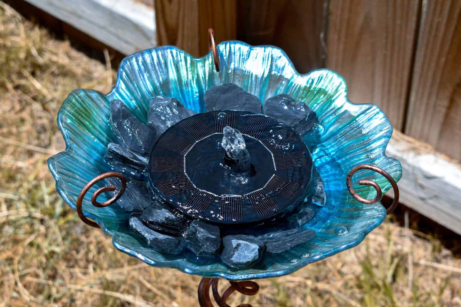 A Guide to Hummingbird Bird Baths in Your Yard