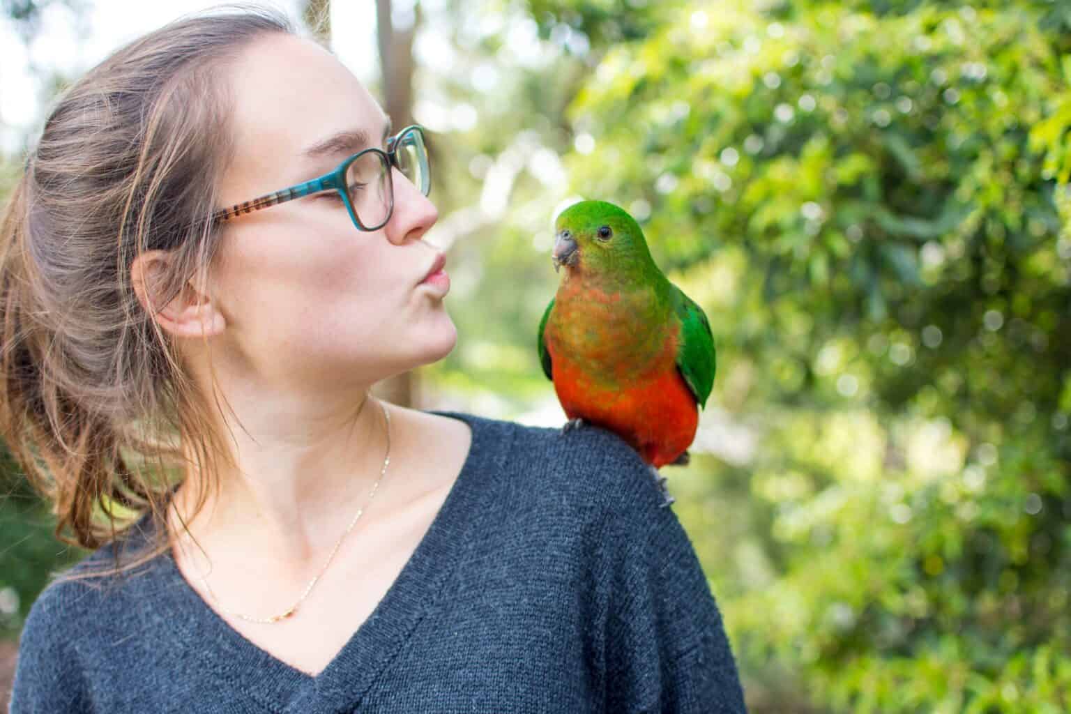 Why Do Parrots Talk? (And How Do They Talk Like Humans?)