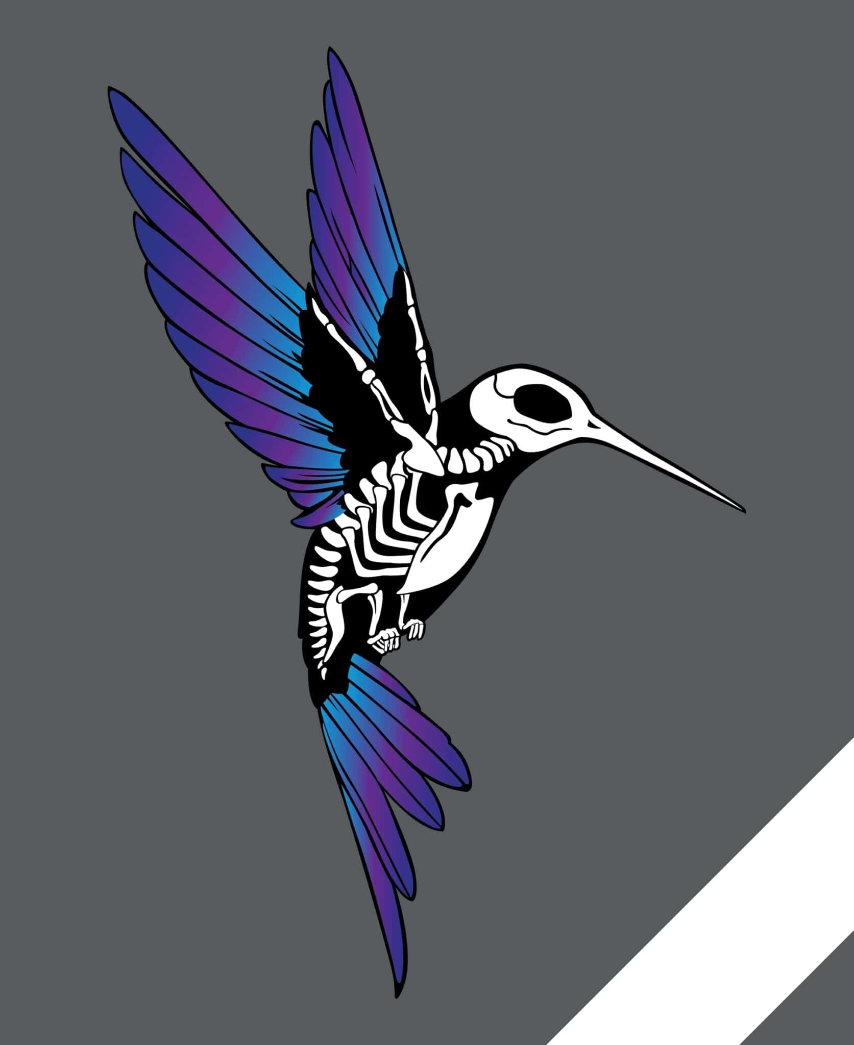 Anatomy of a Hummingbird: Brain, Heart, Wings & More